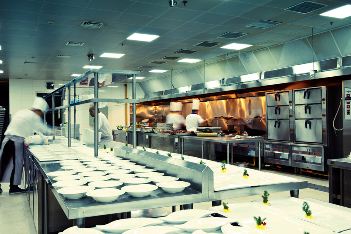 Logic Foods Service