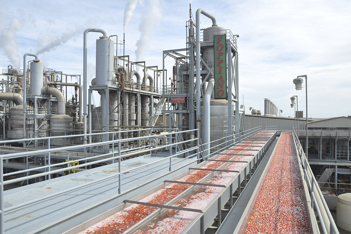 Logic Foods Service